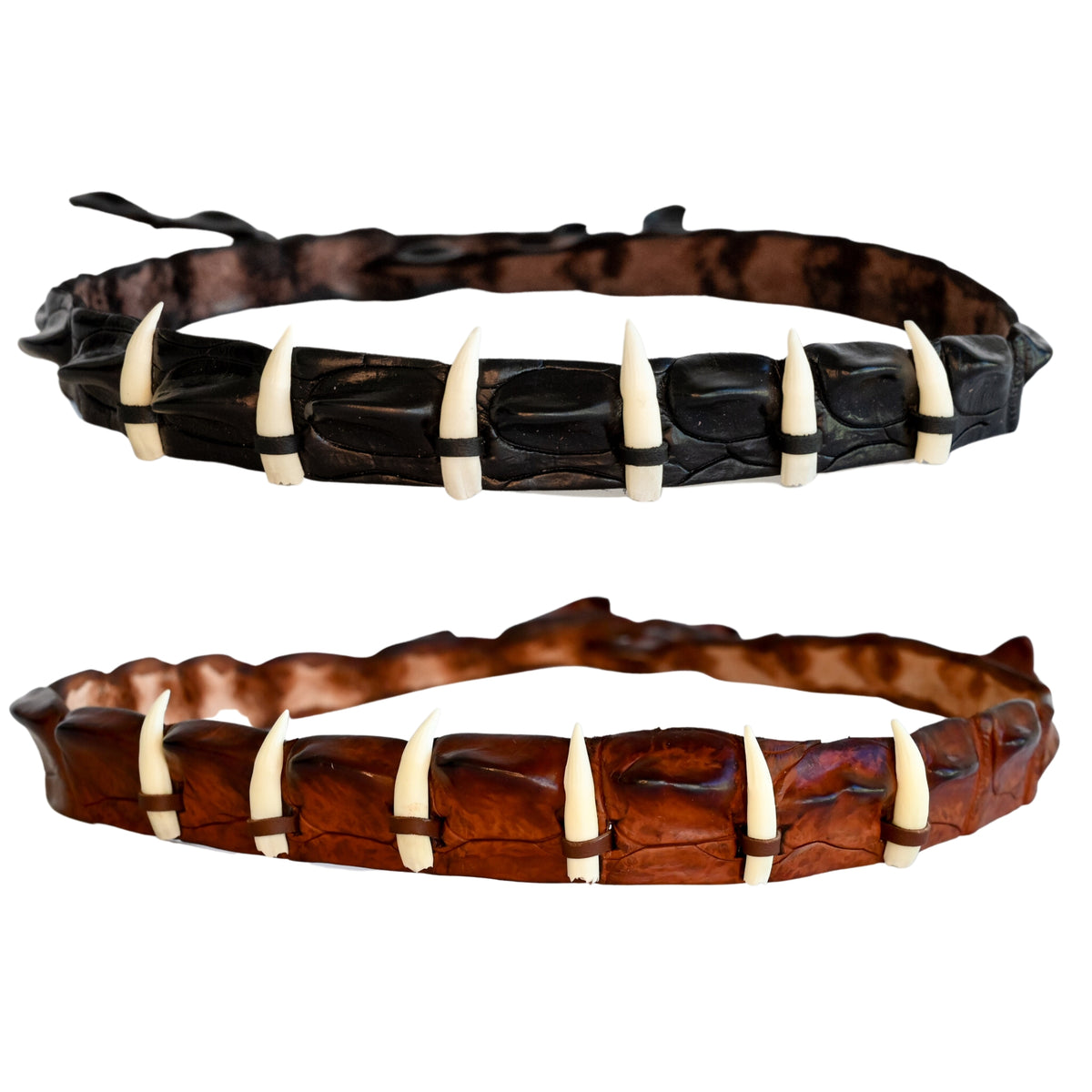 Hat Band Crocodile Hornback Leather with Teeth | Hahndorf Leathersmith