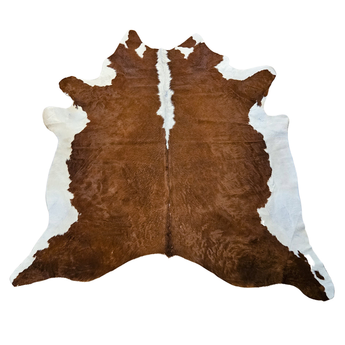 Cowhide Rug | Brown, White Belly & Spine (REGULAR) – Hahndorf Leathersmith